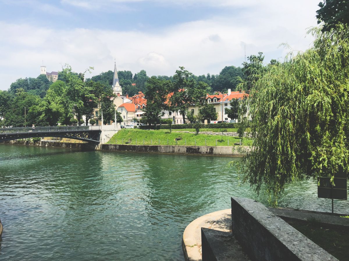 Why Supporting Local Tourism is More Important Than Ever Before ...