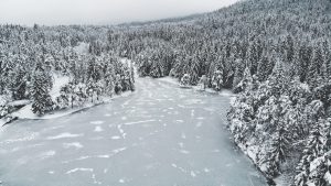 A Snow Day in Pokljuka, Slovenia | Wandering Helene