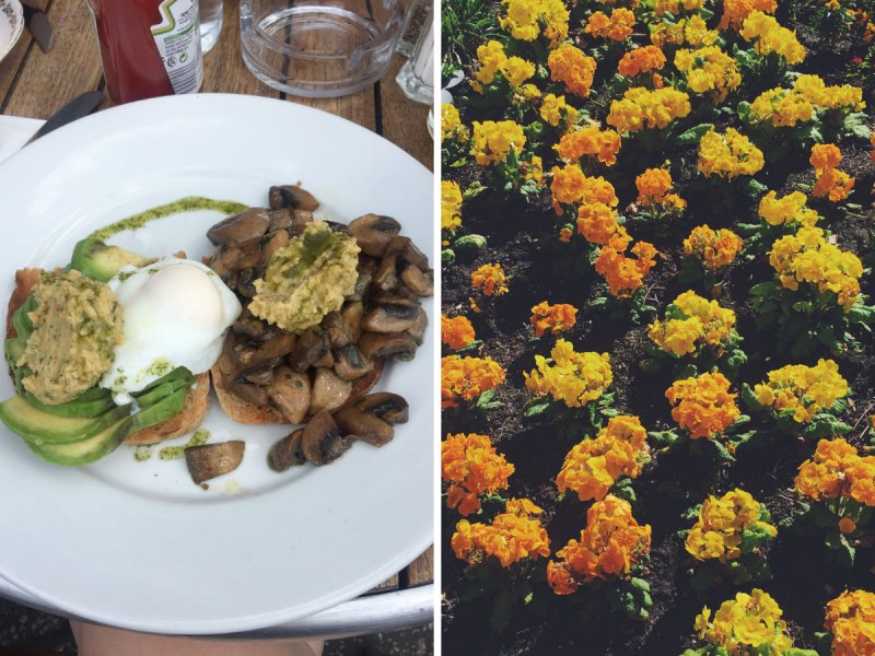 Best Places to Eat and Drink in Brighton, England | Wandering Helene