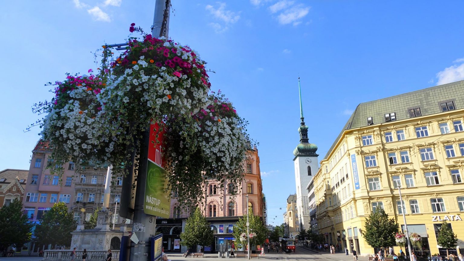 12 Stunning Day Trips from Vienna | Wandering Helene